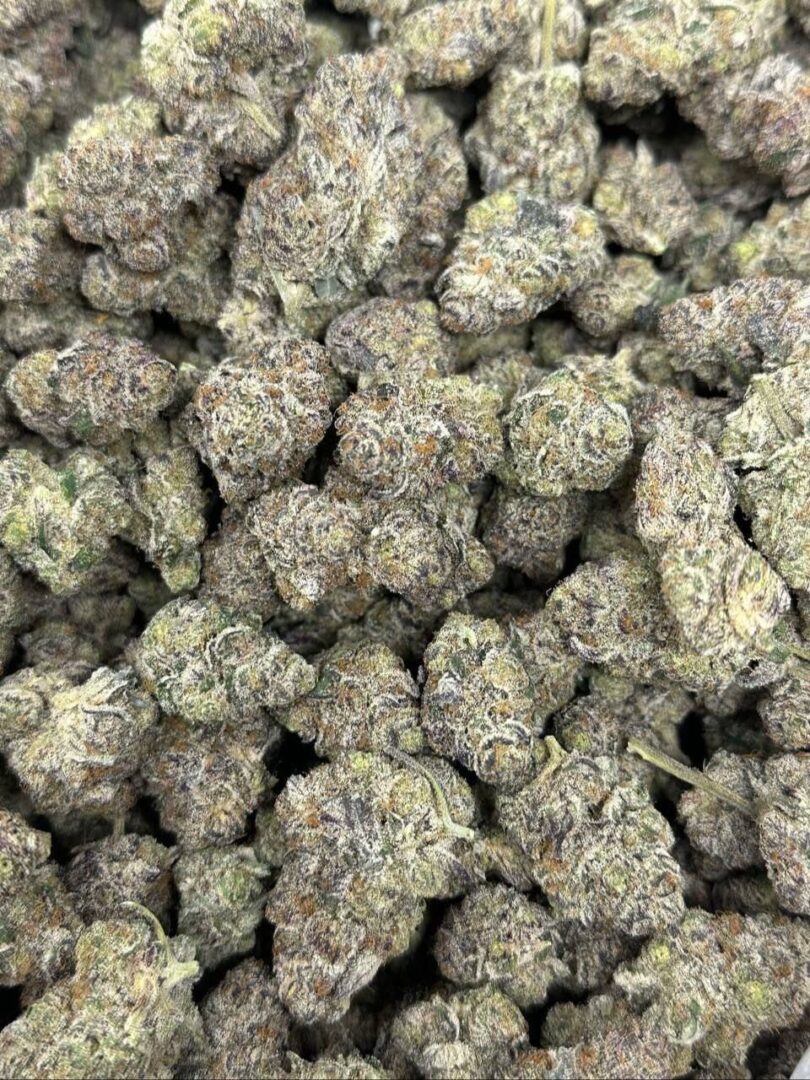 white gelato plus strain | gelato plus strain | gelato plus strain
