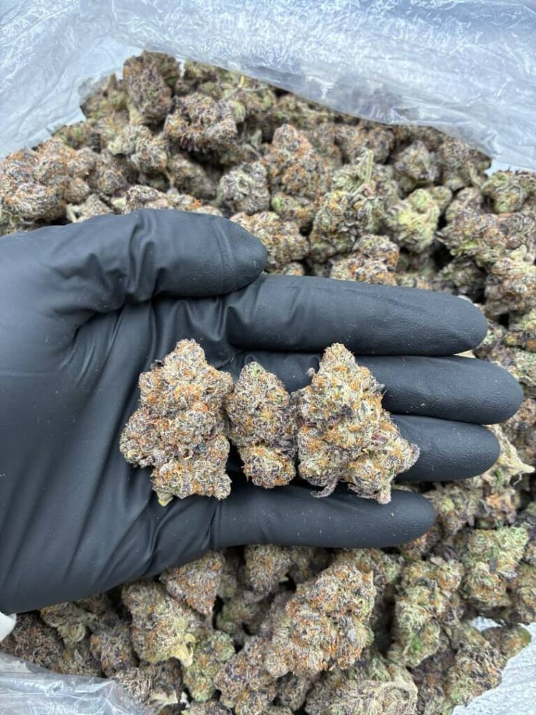 41 Cherries Strain | Indica-Dominant Hybrid with Cherry Flavor (20–23% THC)